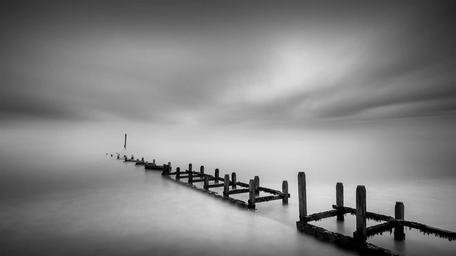 Best Photography 2024 - Incredible achievements and Stories